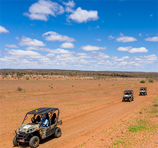 Activities | Kings Creek Station